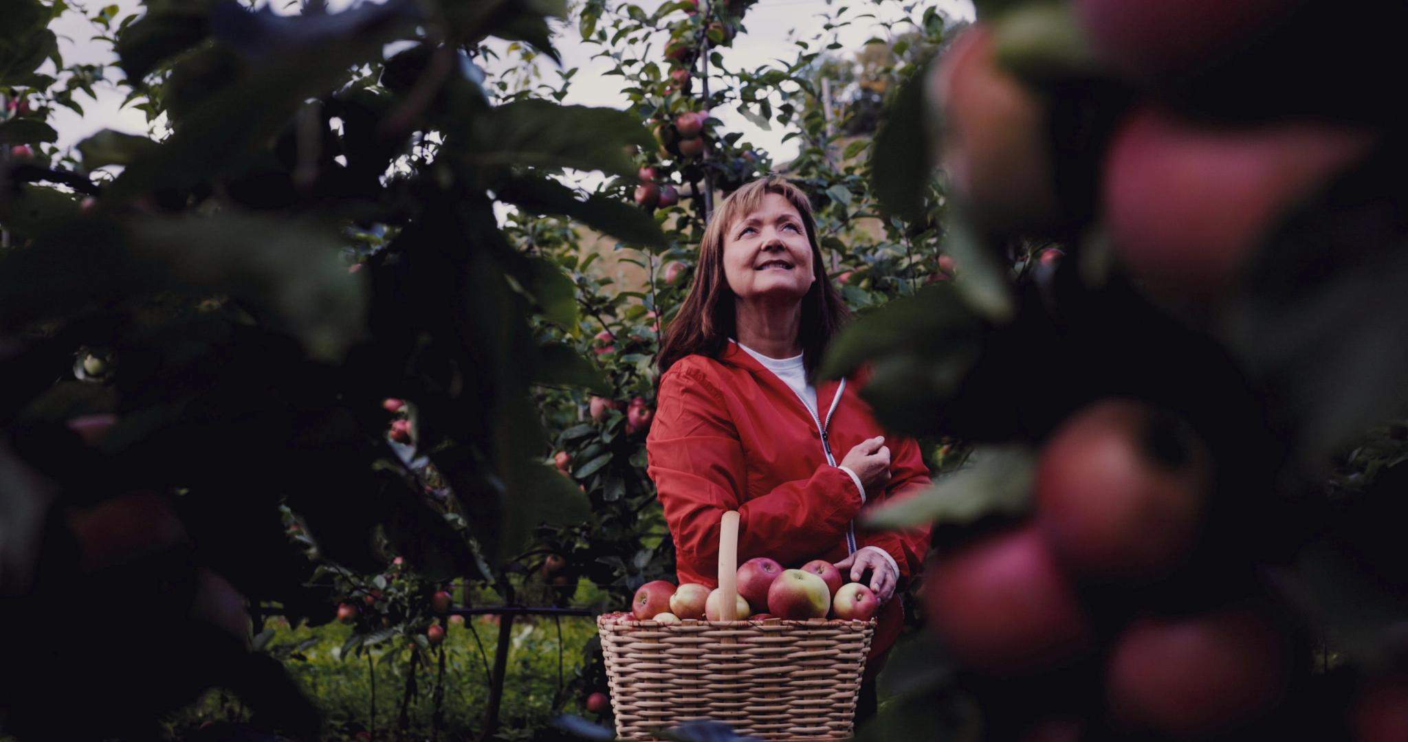 Norwegian fruit and berries I Slow growing treats