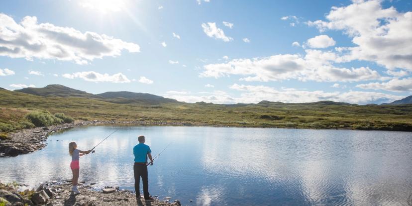 Ål in Hallingdal | Activities, hotels, food and drink