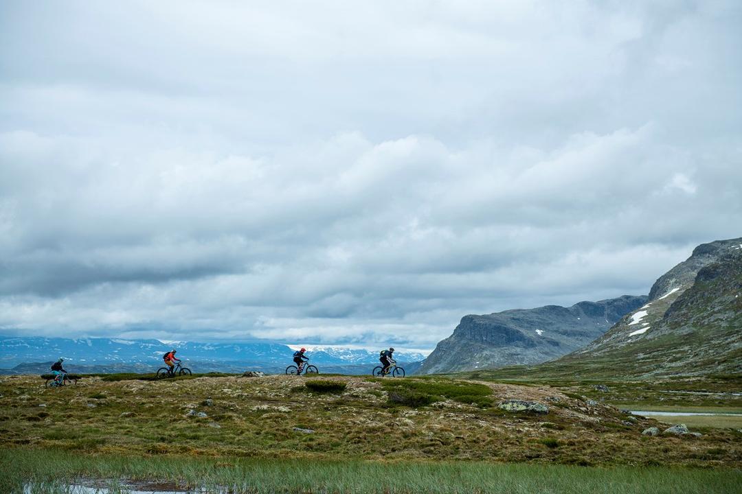 Ål in Hallingdal | Activities, hotels, food and drink