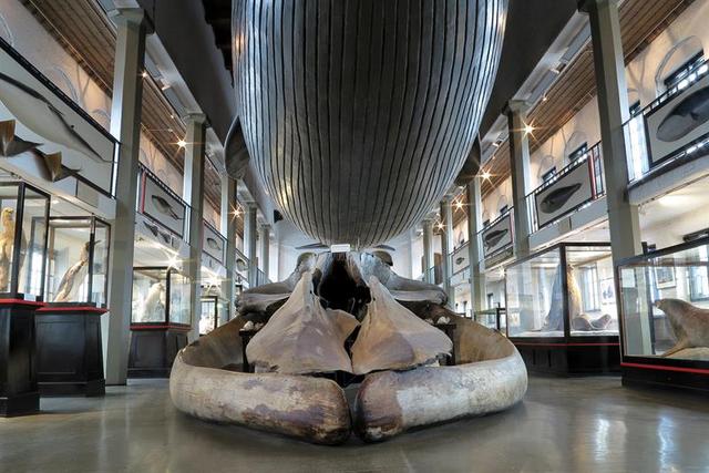 Sandefjord, Norway | Viking sites, seaside towns, activities