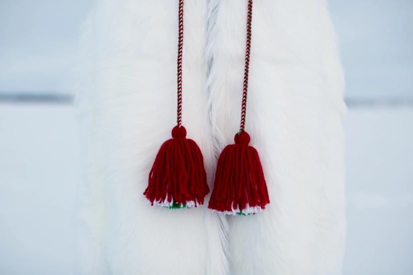 The rebirth of the joik | Sami culture | Music and traditions