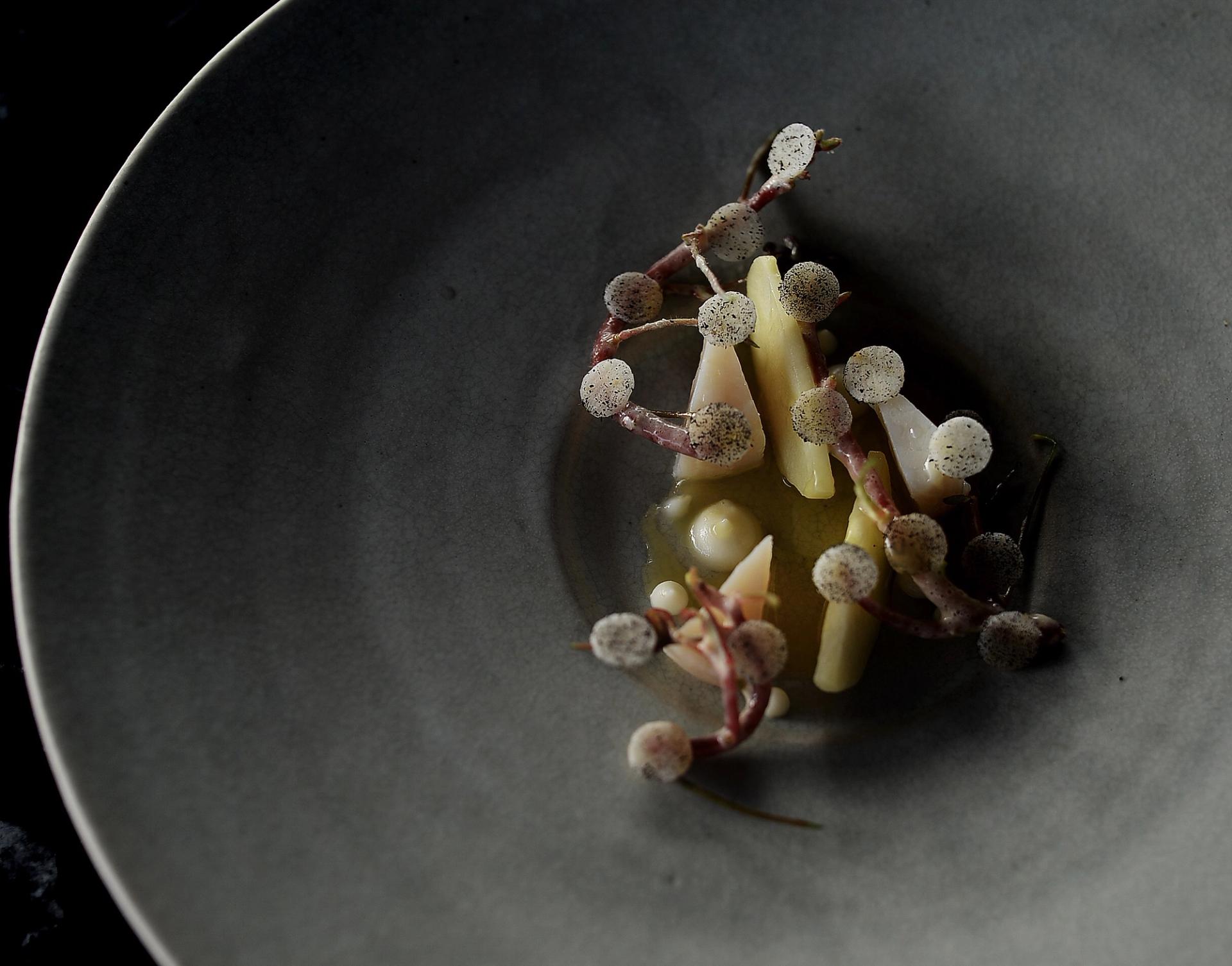 Norway's top restaurants and food I The meals you'll never forget