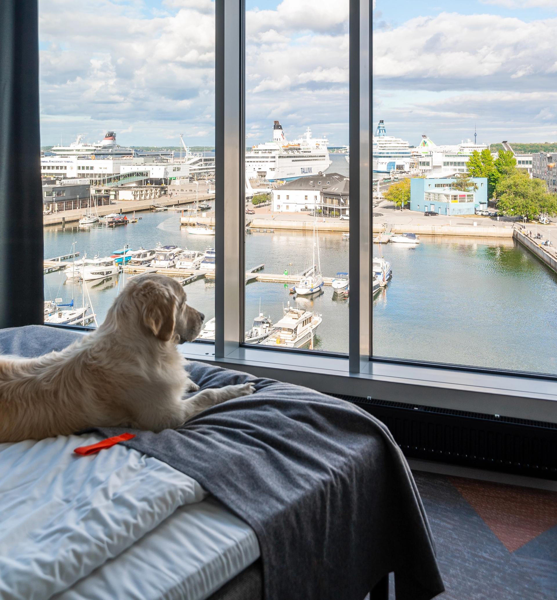 Christmas In Norway | Traditions | White Christmas