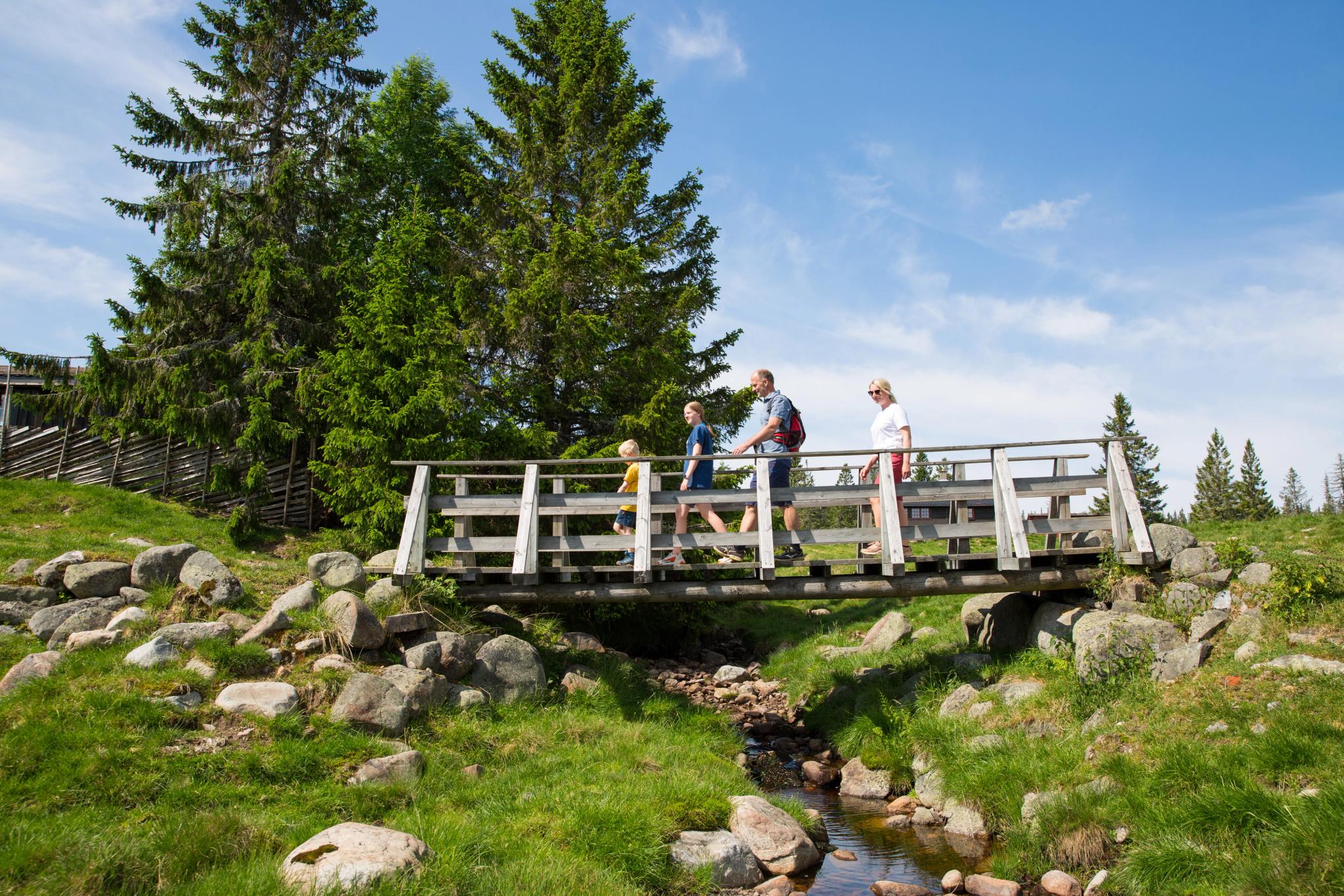Hamar in Norwegen | Aktivitäten, Sehenswürdigkeiten, Hotels, Restaurants
