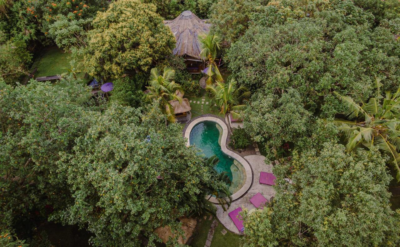 Swasti Eco Cottages • A healing village hidden in paradise.