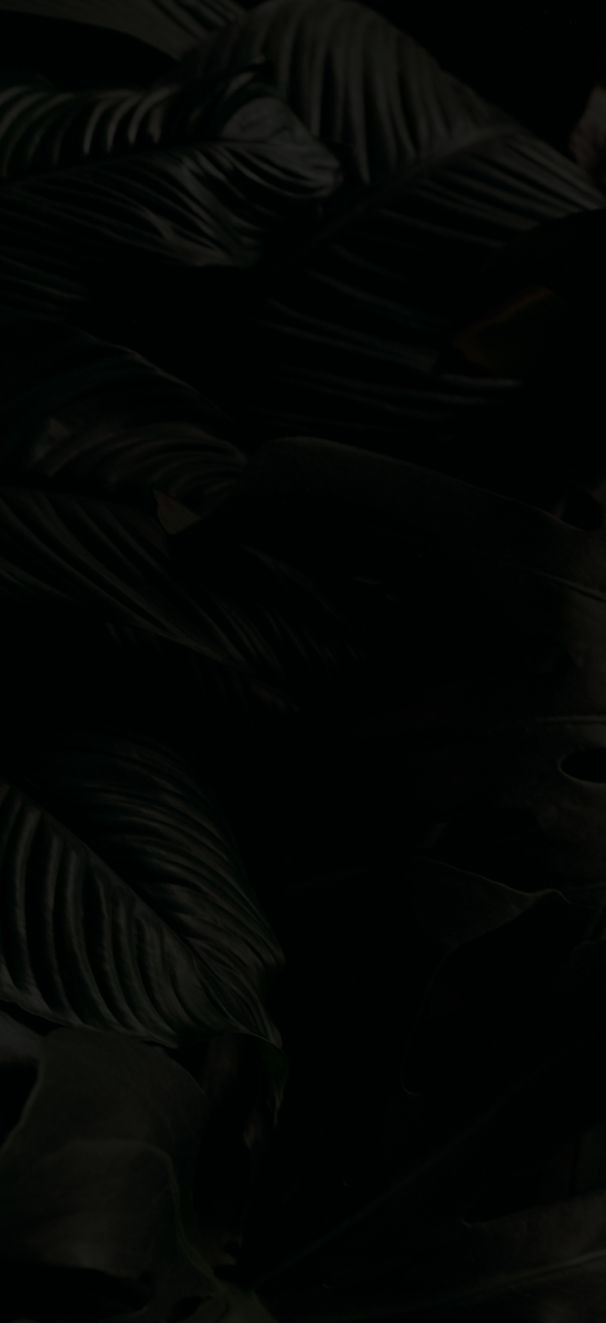 Our Story & Values | Remedy Place