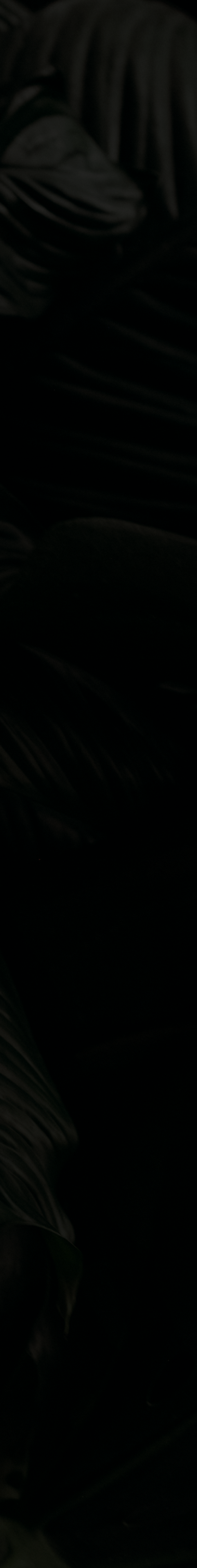 Our Story & Values | Remedy Place