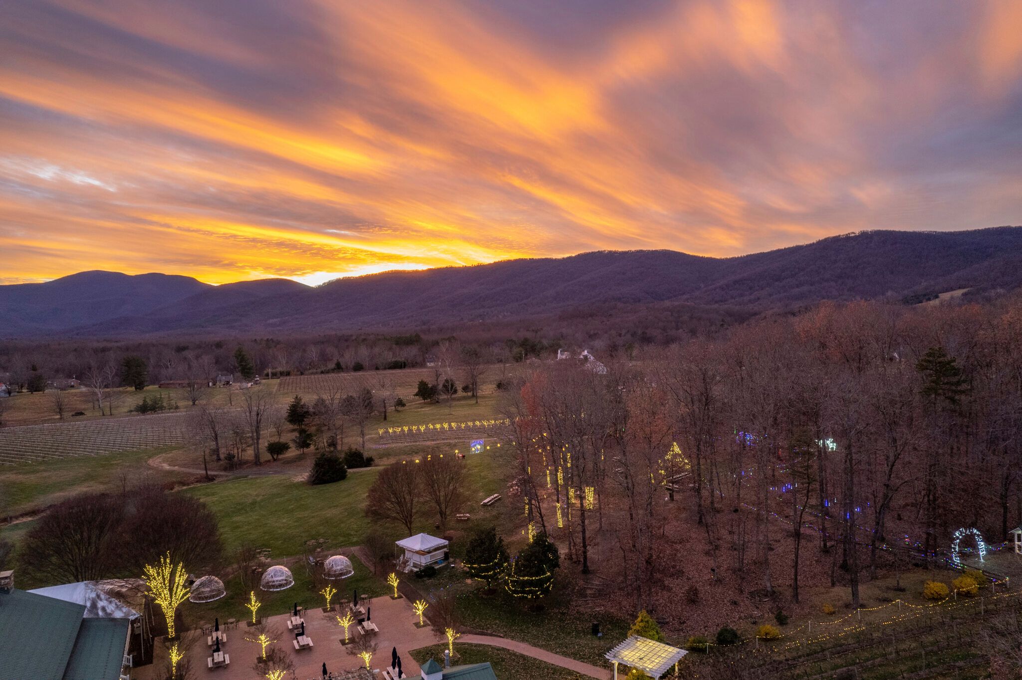 Charlottesville Holiday Events & Winter Activities | Best Things to Do ...