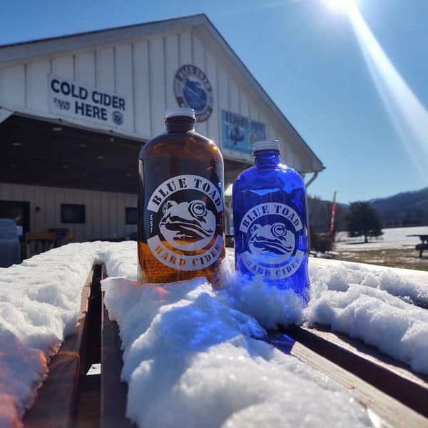 Blue Toad Hard Cider: A Sip of Tradition and Authenticity