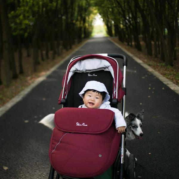 Hot Spots for Stroller Walks