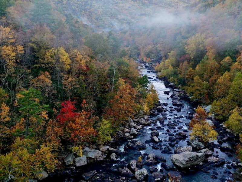 BEST AREA OUTDOOR ACTIVITIES | Charlottesville Insider