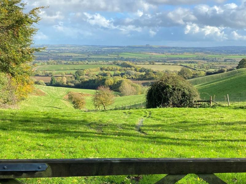 Rural Land & Farm Values 2023 | Butler Sherborn