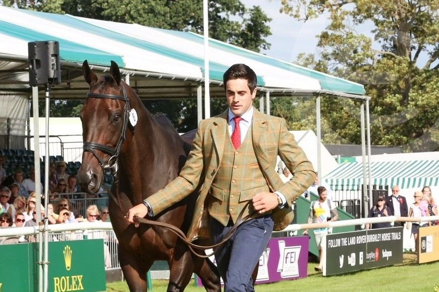 Interview with Ben Way, Head of Butler Sherborn Equestrian | Butler ...