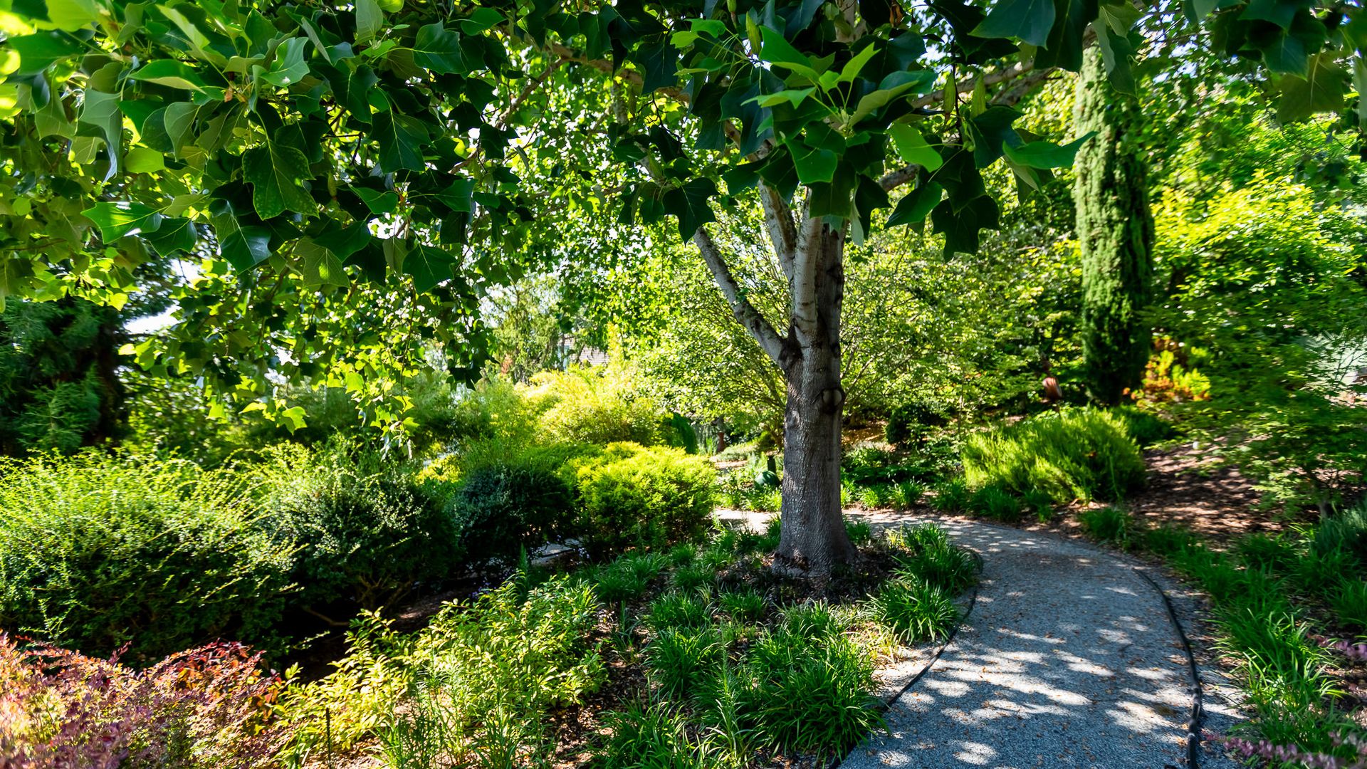 Vista Gardens Diverse and Delightful Garden Areas | Bremerton, WA