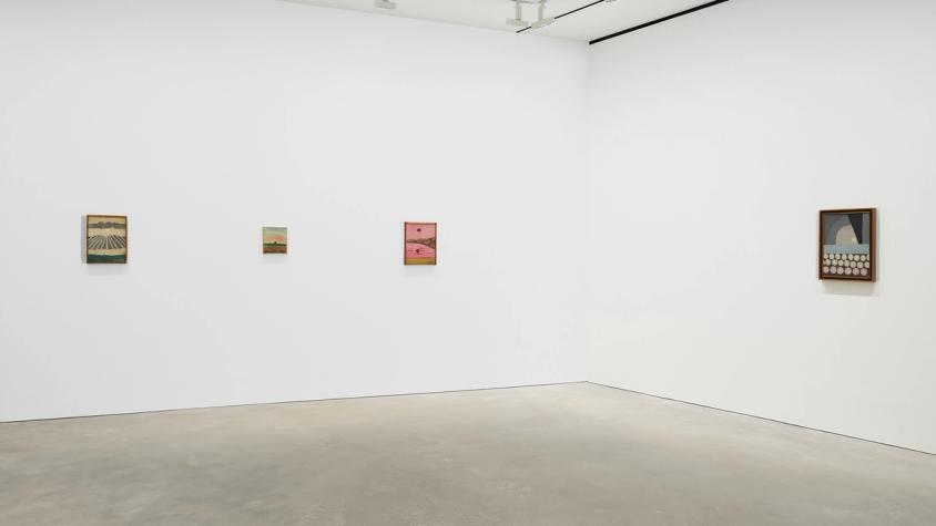 Exceptional Works: Amadeo Luciano Lorenzato | David Zwirner