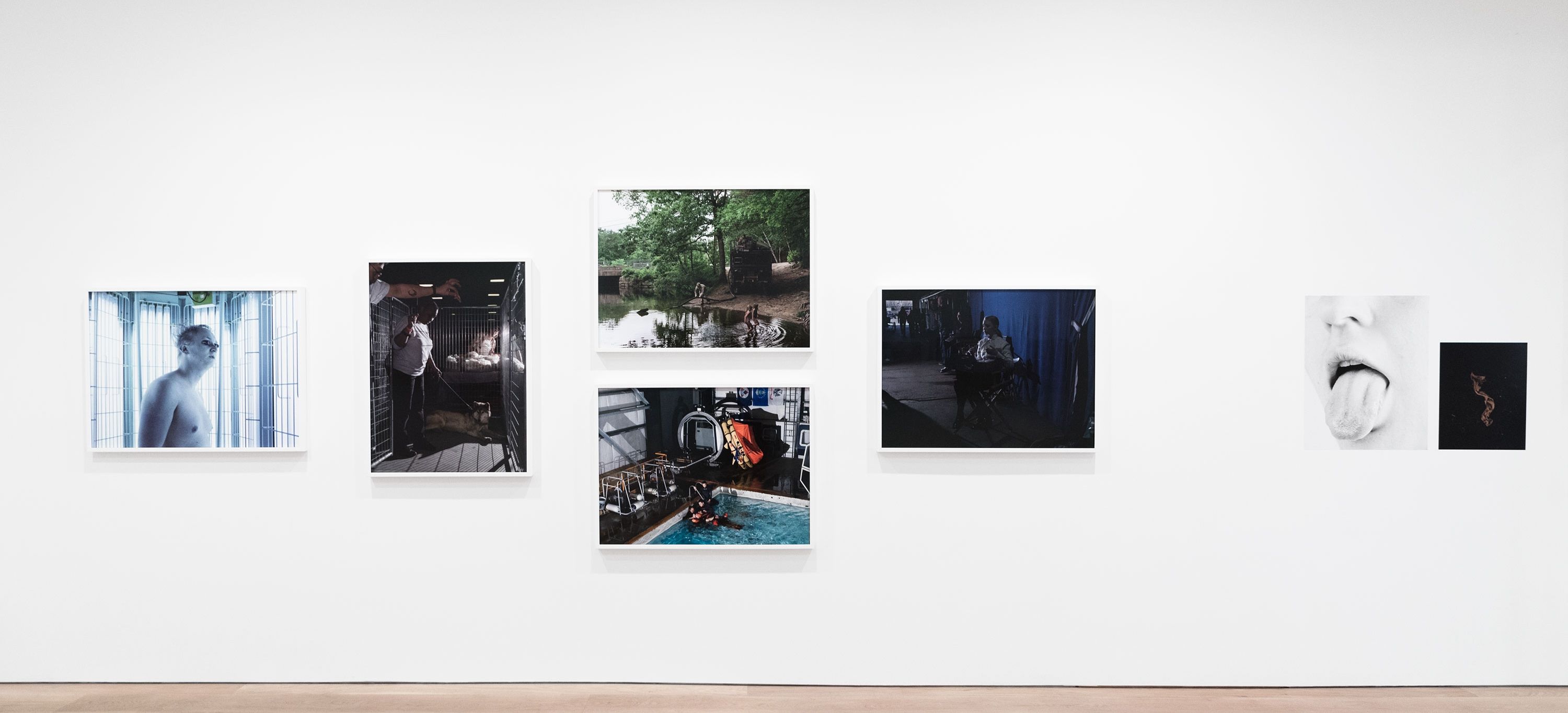 Unbecoming: Yale MFA Photography 2018 Thesis Show | David Zwirner