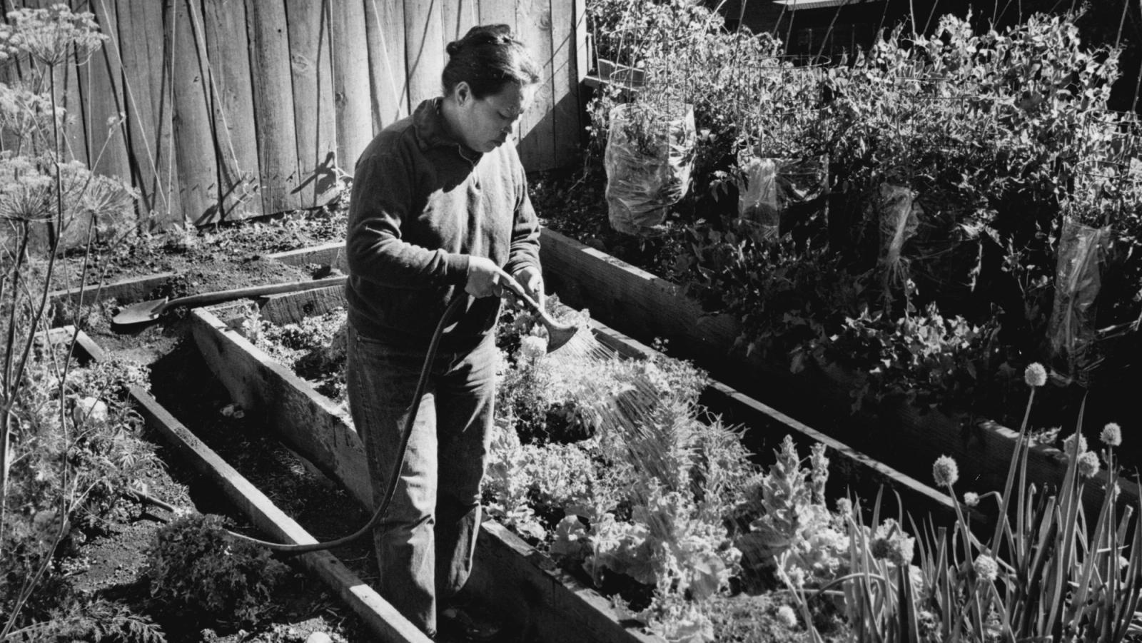 Ruth Asawa: Doing Is Living | Hong Kong | November 19, 2024—February 22 ...