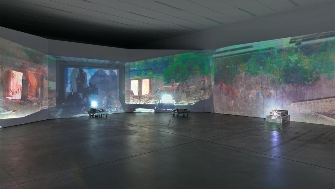 Diana Thater: Chernobyl Redux | David Zwirner