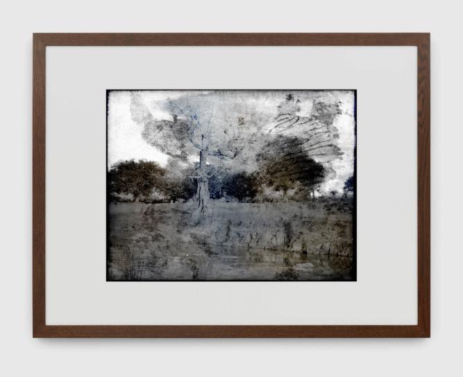 Thomas Ruff: tripe_03 Mysore. Landscape with leafless tree and tank ...