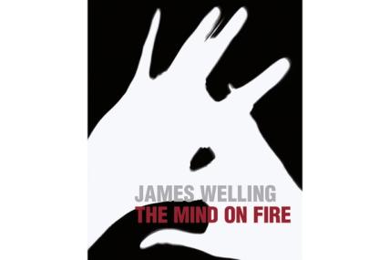 James Welling: The Mind on Fire | Books | David Zwirner