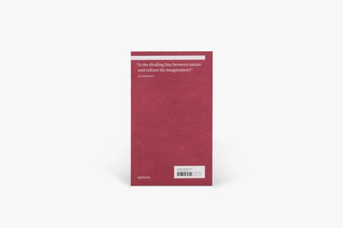 A Balthus Notebook | Books | David Zwirner