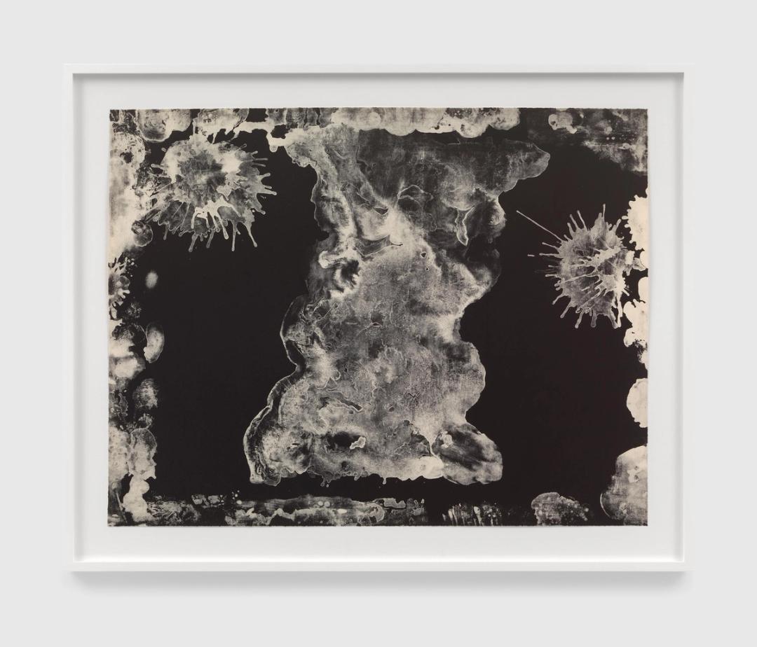 Ruth Asawa: Plane Tree Reversal (TAM.1470A), 1965 | David Zwirner