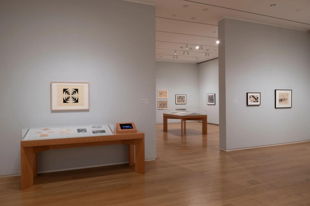 Ruth Asawa: Through Line | David Zwirner