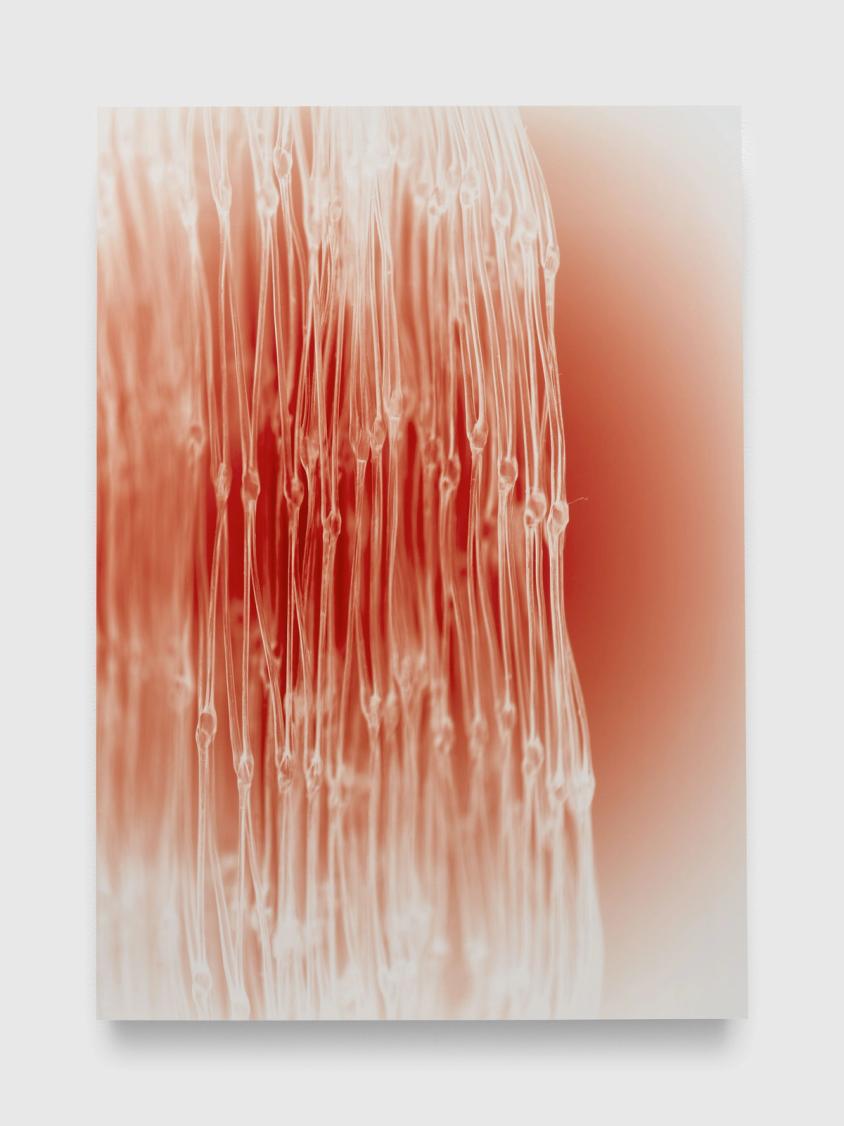 Lotus L. Kang: Already | New York: Tribeca | April 11—June 7, 2025 ...