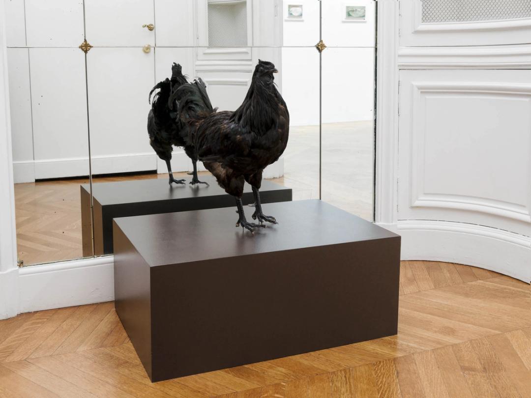 Andy Robert: Bird, 2024 | David Zwirner