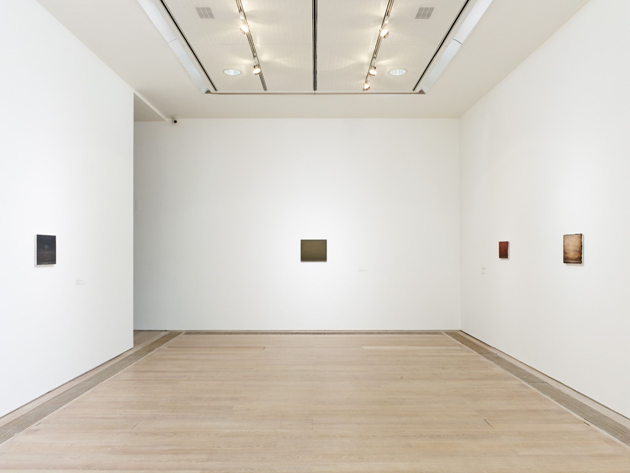 Lucas Arruda: Nature + Abstraction | David Zwirner