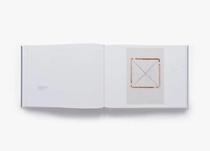 Gordon Matta-Clark: The Beginning of Trees and the End | Books | David ...