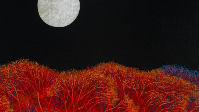 Scott Kahn: Once in a Blue Moon | Hong Kong | November 19, 2024 ...