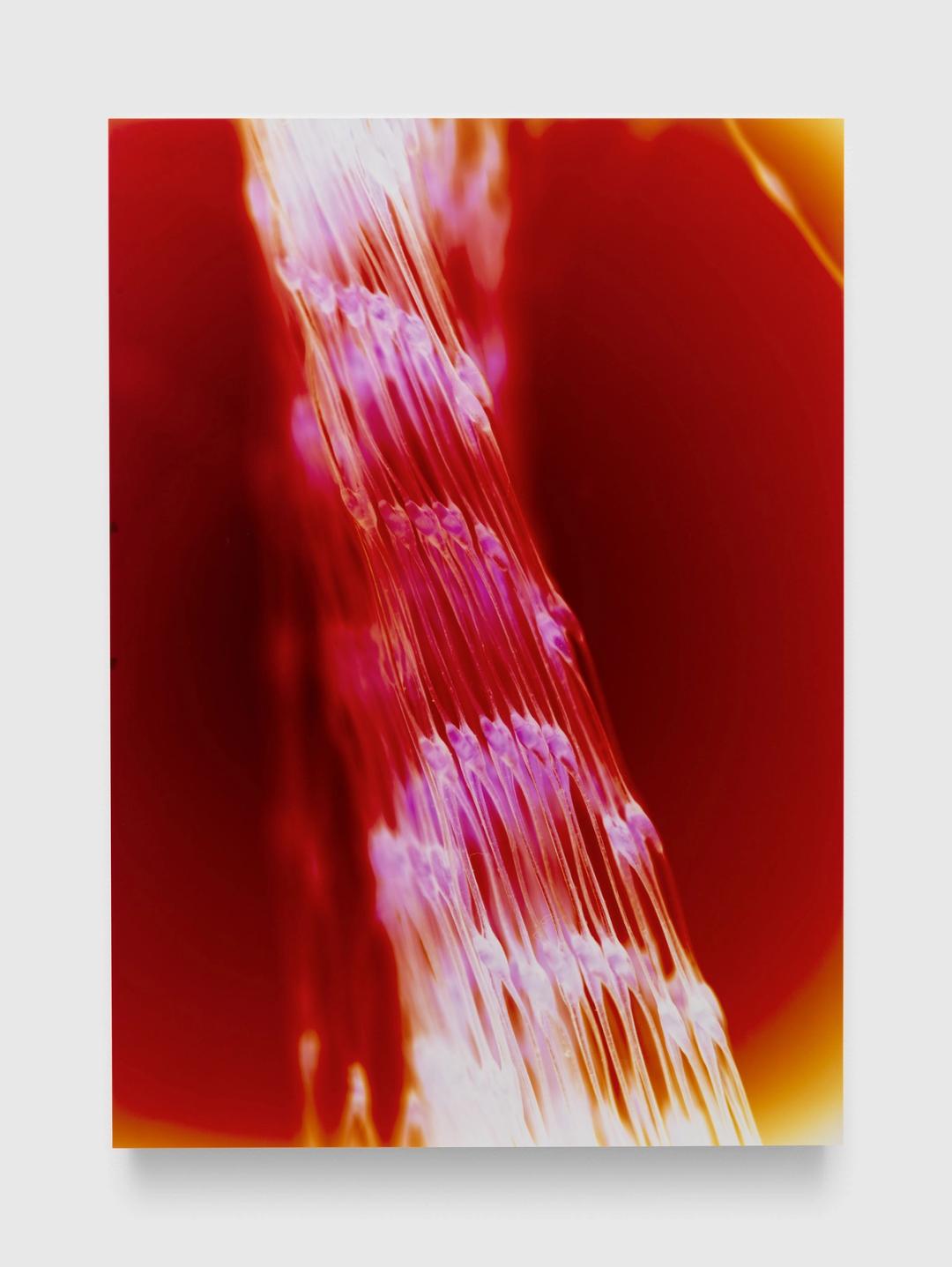 Lotus L. Kang: Already | New York: Walker Street | April 11—June 7 ...