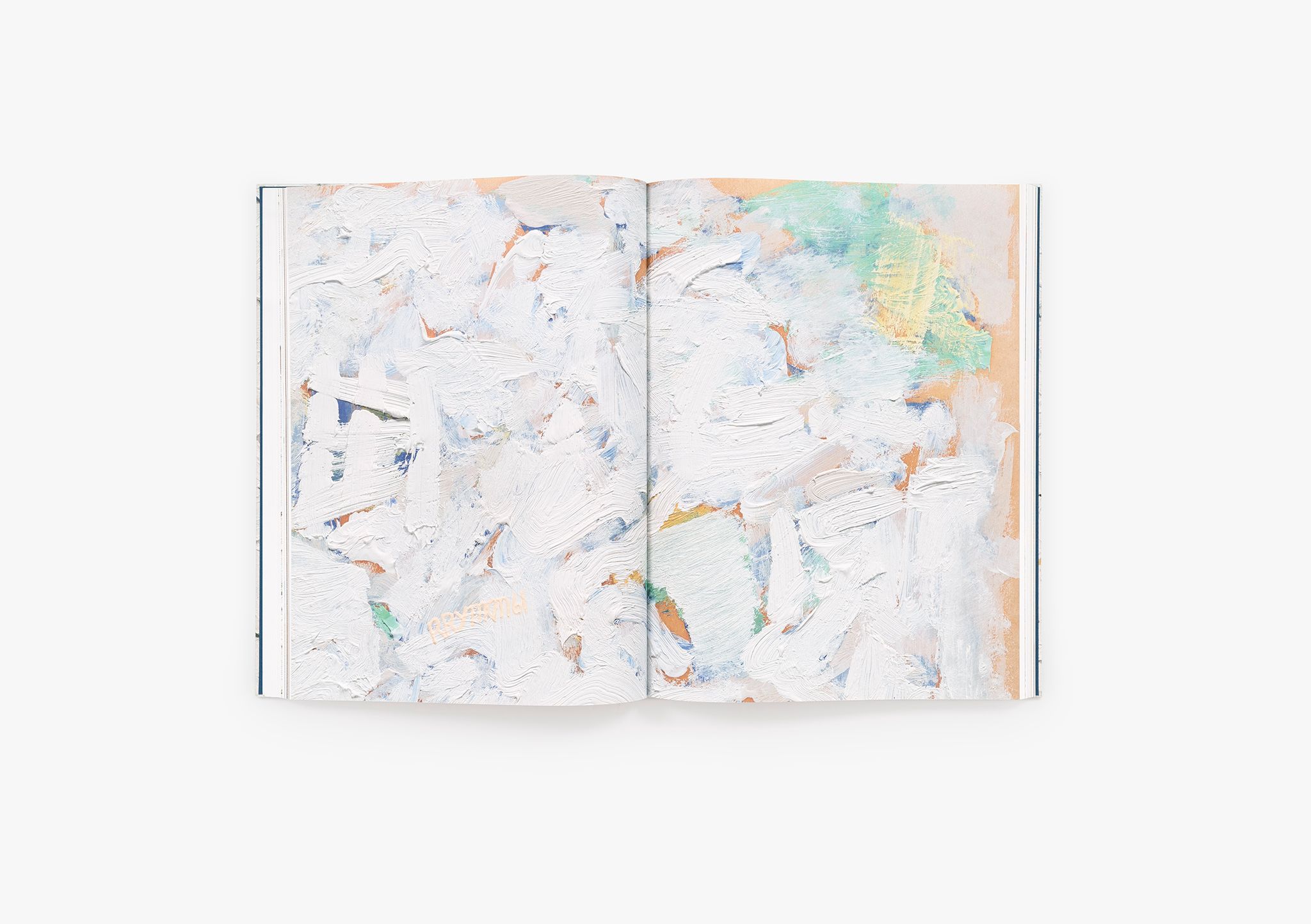 Robert Ryman: Early and Late | Books | David Zwirner