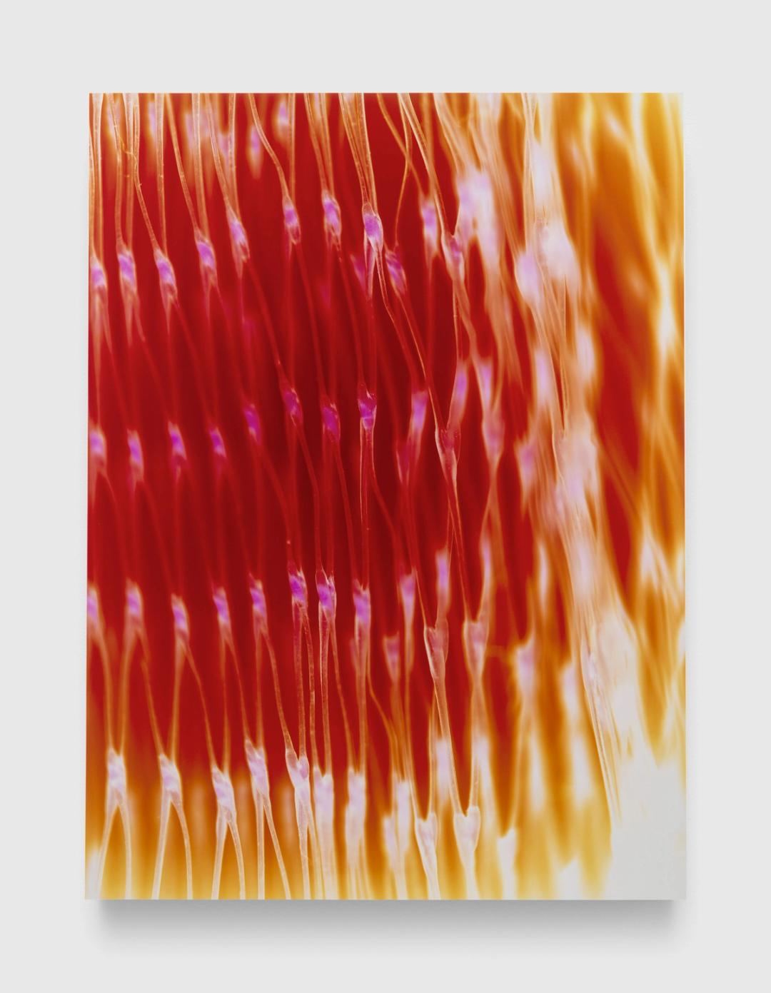 Lotus L. Kang: Already | New York: Tribeca | April 11—June 7, 2025 ...
