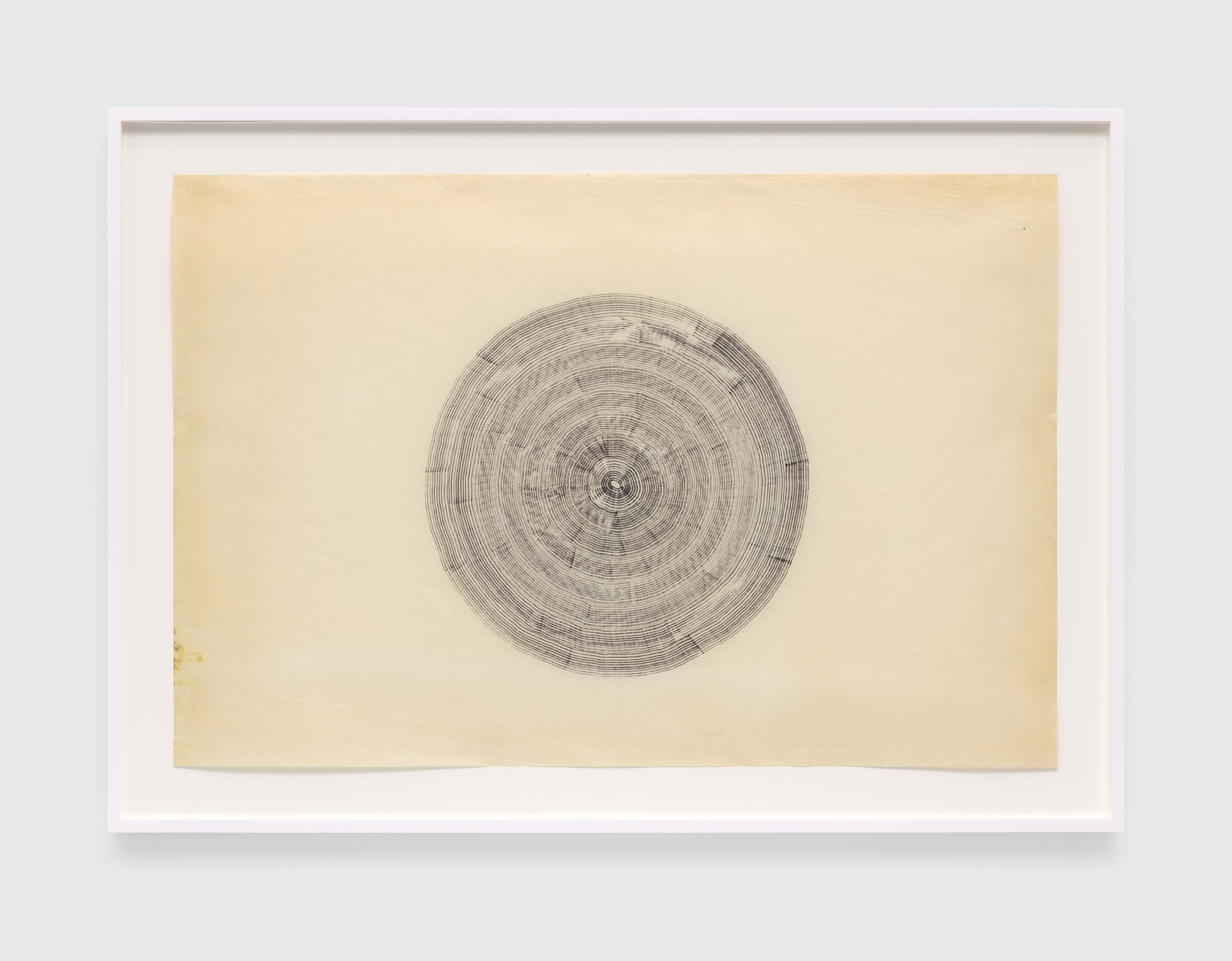 Ruth Asawa: Untitled (PF.1009, Tree Ring), c. 1960-1964 | David Zwirner