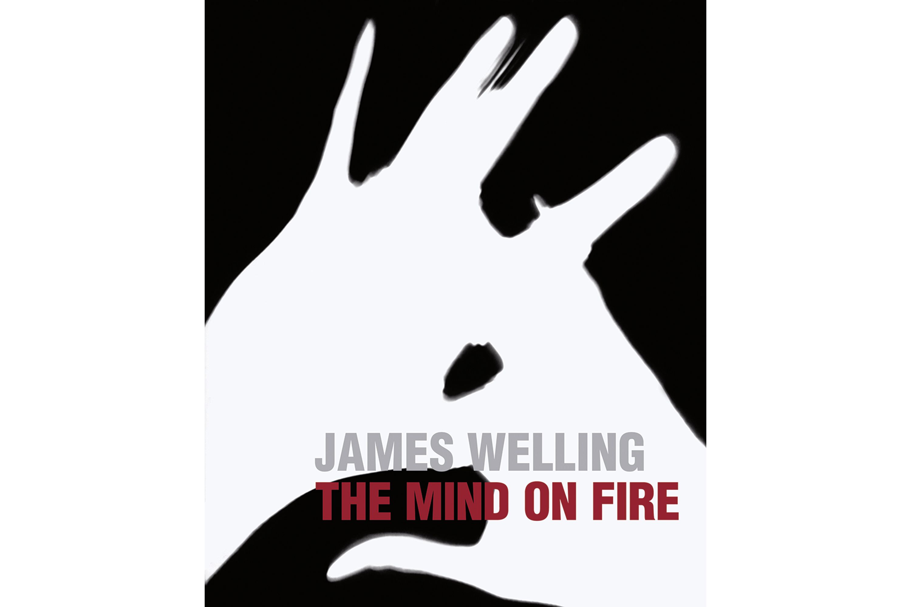 James Welling: The Mind on Fire | Books | David Zwirner