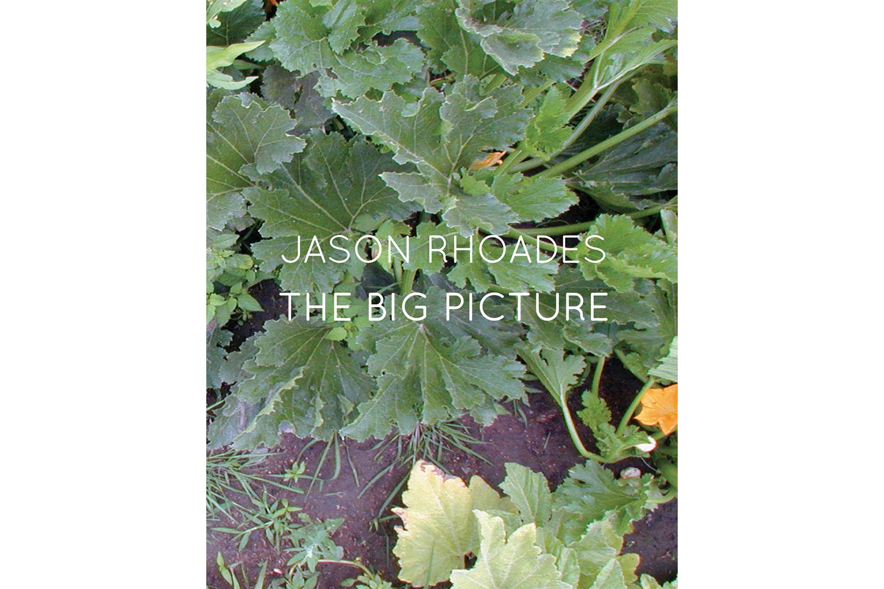 Jason Rhoades: The Big Picture | Books | David Zwirner