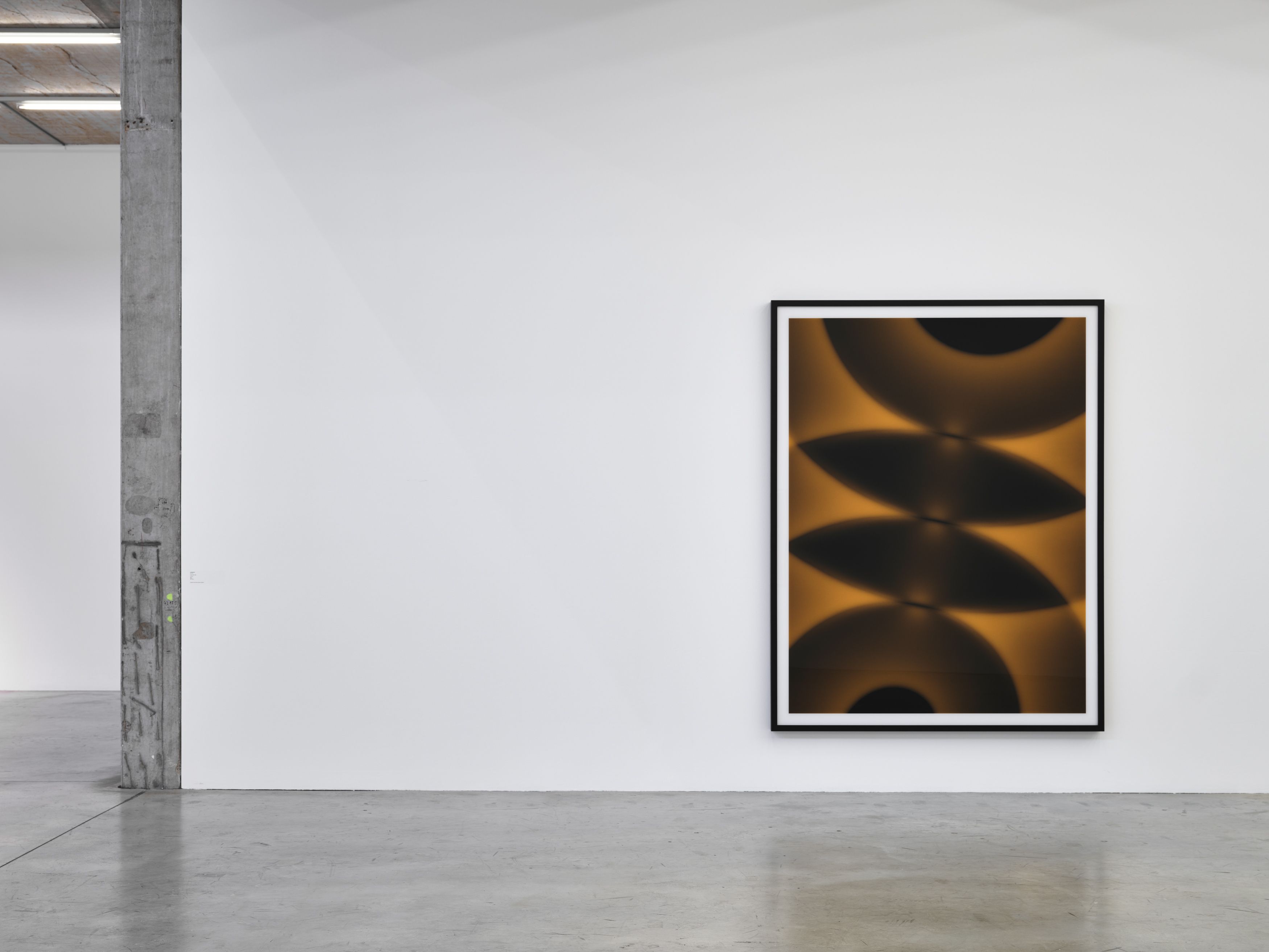 Thomas Ruff Included in Size Matters: Scale in Photography | David Zwirner
