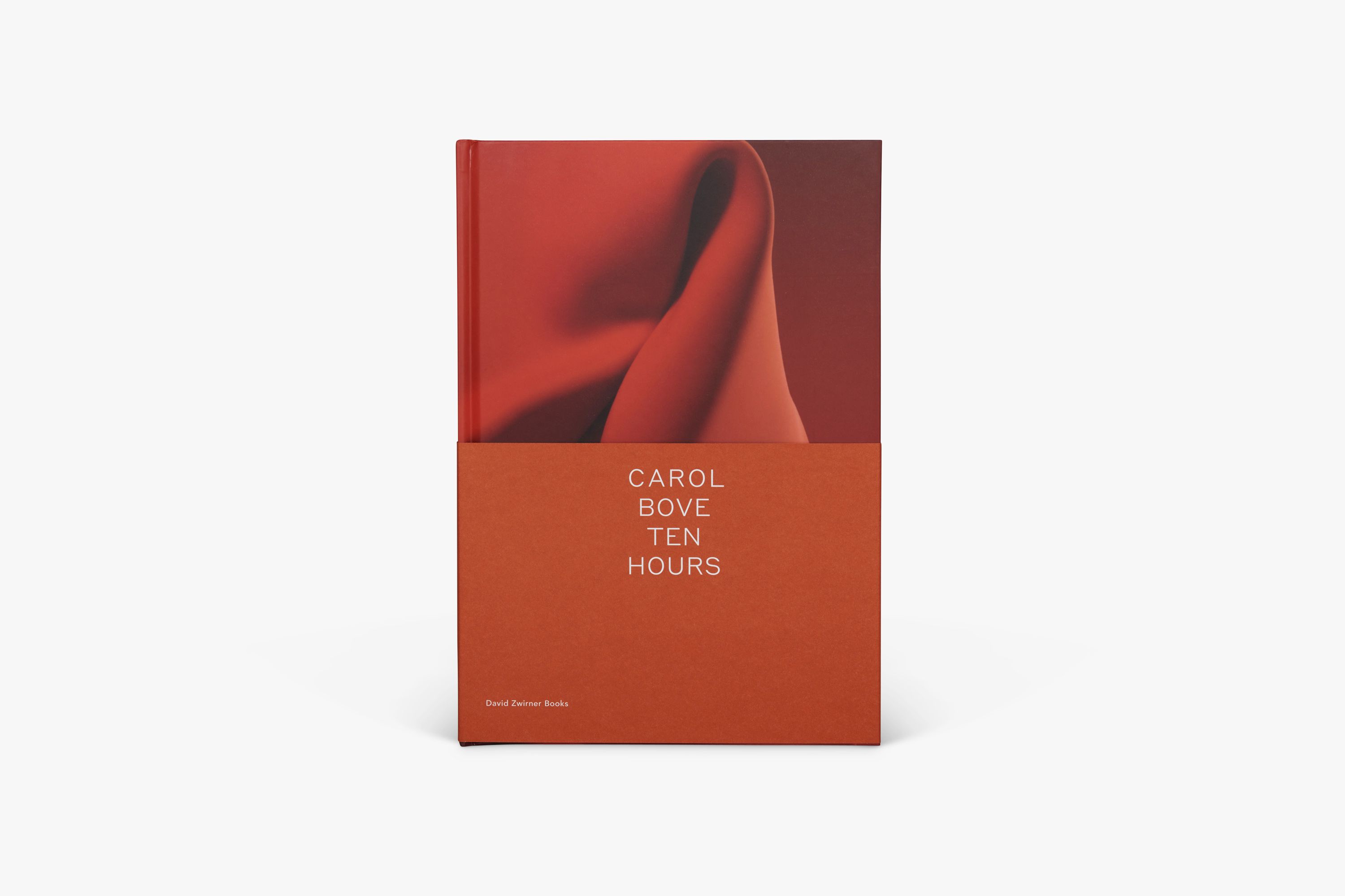Carol Bove: Ten Hours | Books | David Zwirner