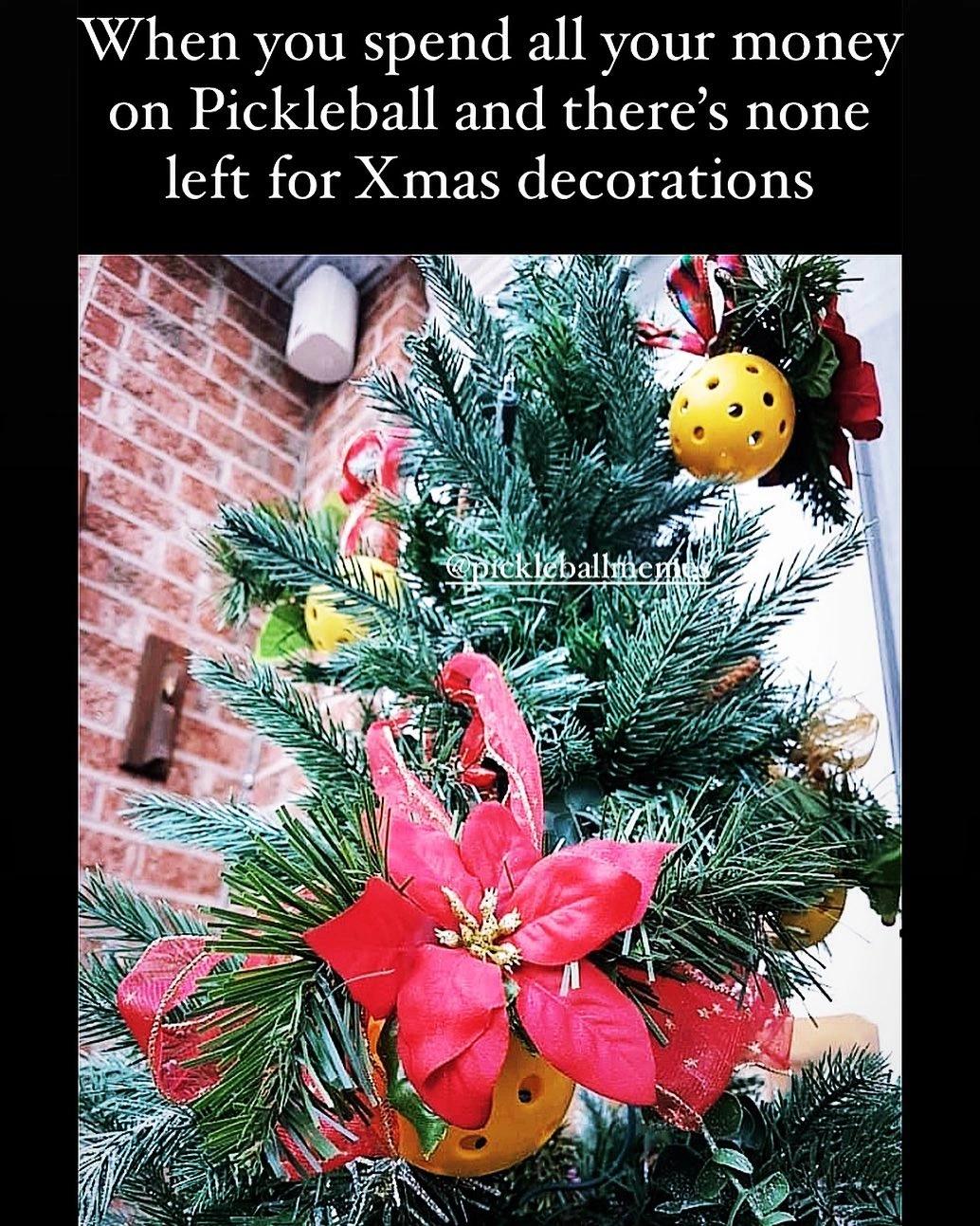 27 Pickleball Memes To Brighten Your Day | Pickleheads