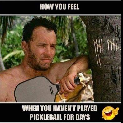 27 Pickleball Memes To Brighten Your Day | Pickleheads
