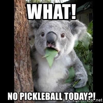 27 Pickleball Memes To Brighten Your Day | Pickleheads