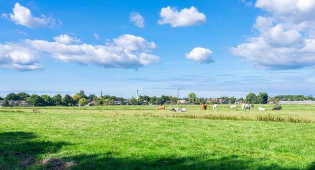 4 verschillende landbouwmethoden uitgelegd: verschillen en ...