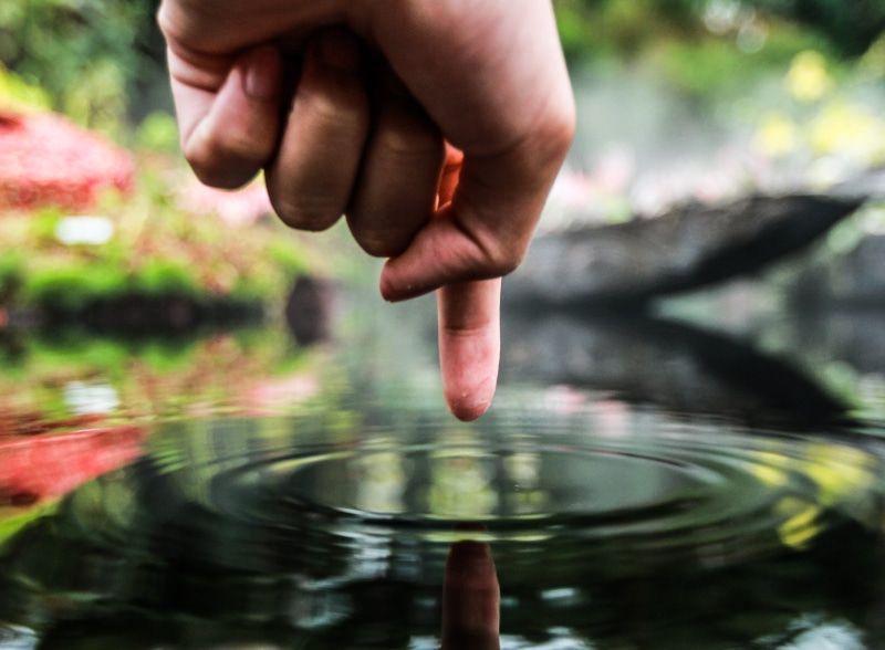 Wednesday Wisdom | Ripple Effects | Tooled Up Education