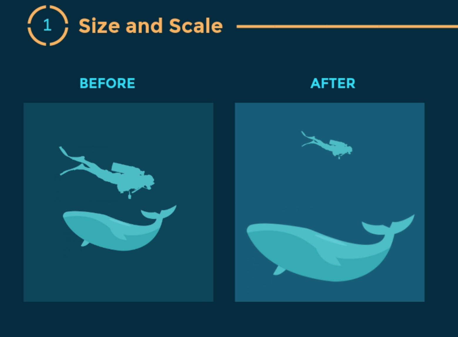 The Ultimate 5-Step Graphic Design Process by Superside