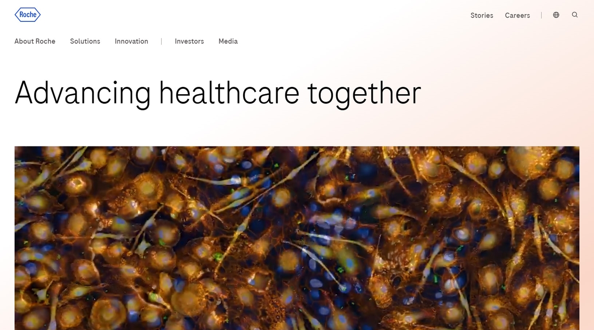 20 Successful Report Design Examples and Ideas for 2026