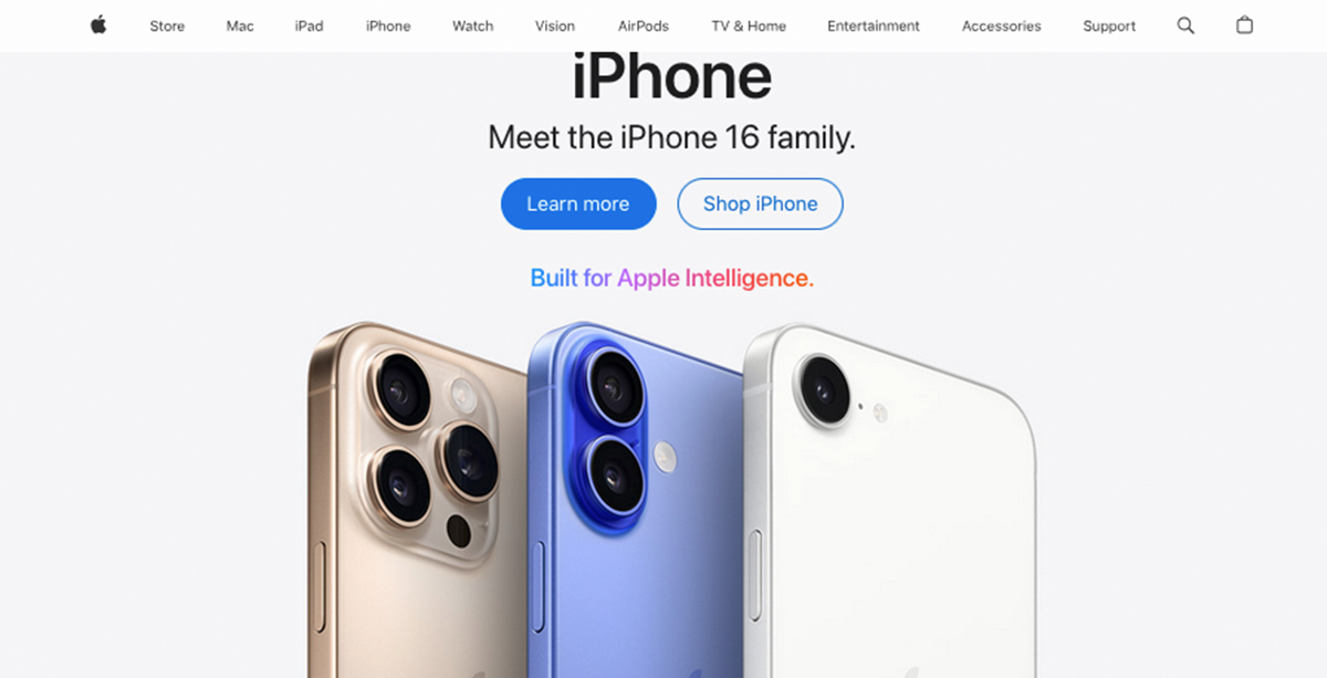 12 Tried-and-Tested Website Layout Ideas That Deliver