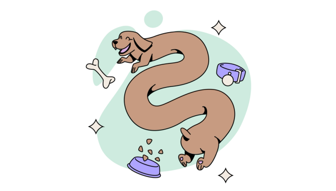 Otto - Illustration Design Service Showcase - Our Work