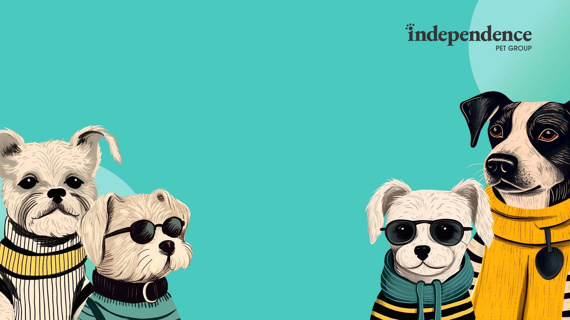 Speed vs. Efficiency: Why Creative Teams Need Both